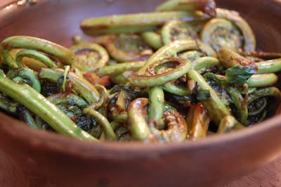 Scrumpdillyicious: Fiddleheads: The Edible Fern