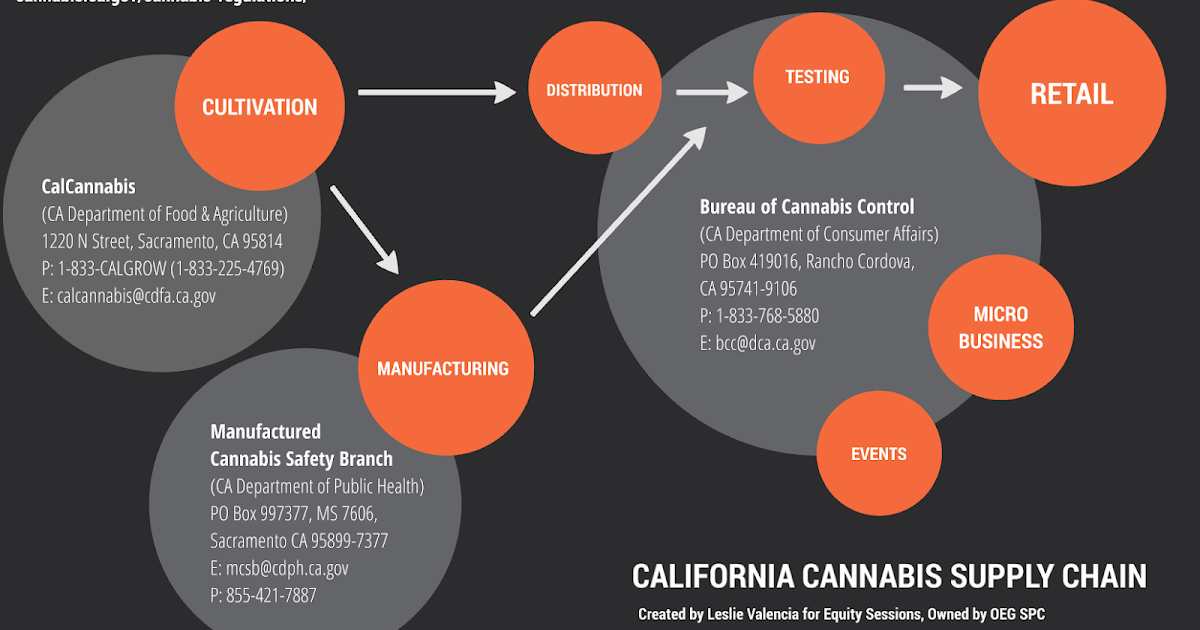 Workshop 2: Cannabis Supply Chain