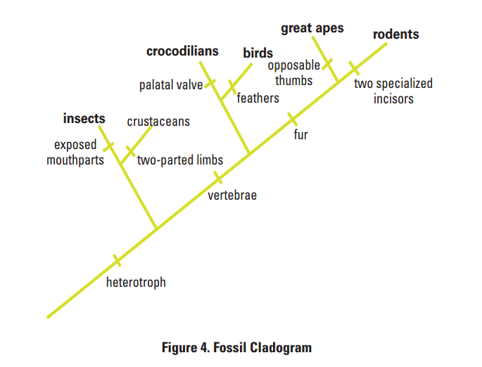 Mrs. Strong's AP Bio Lab Pages: BLAST Lab (AP Bio Lab #3)