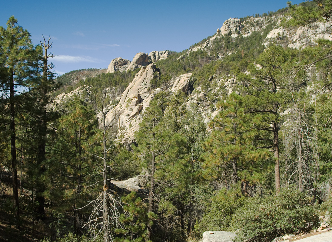 HarborWare, Official Blog: Minimalist Camping in the Arizona Wilderness