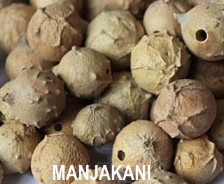 Anim Agro Technology: MANJAKANI - APA BENDANYA?