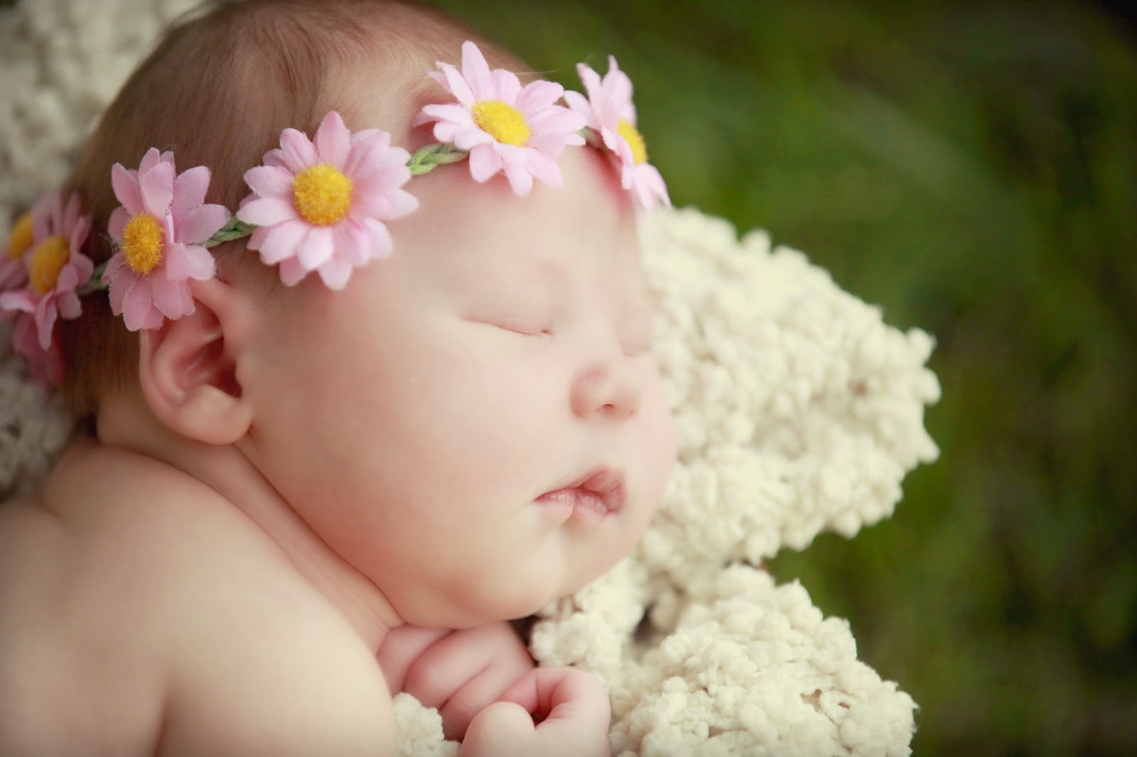 Allison Rhea Photography