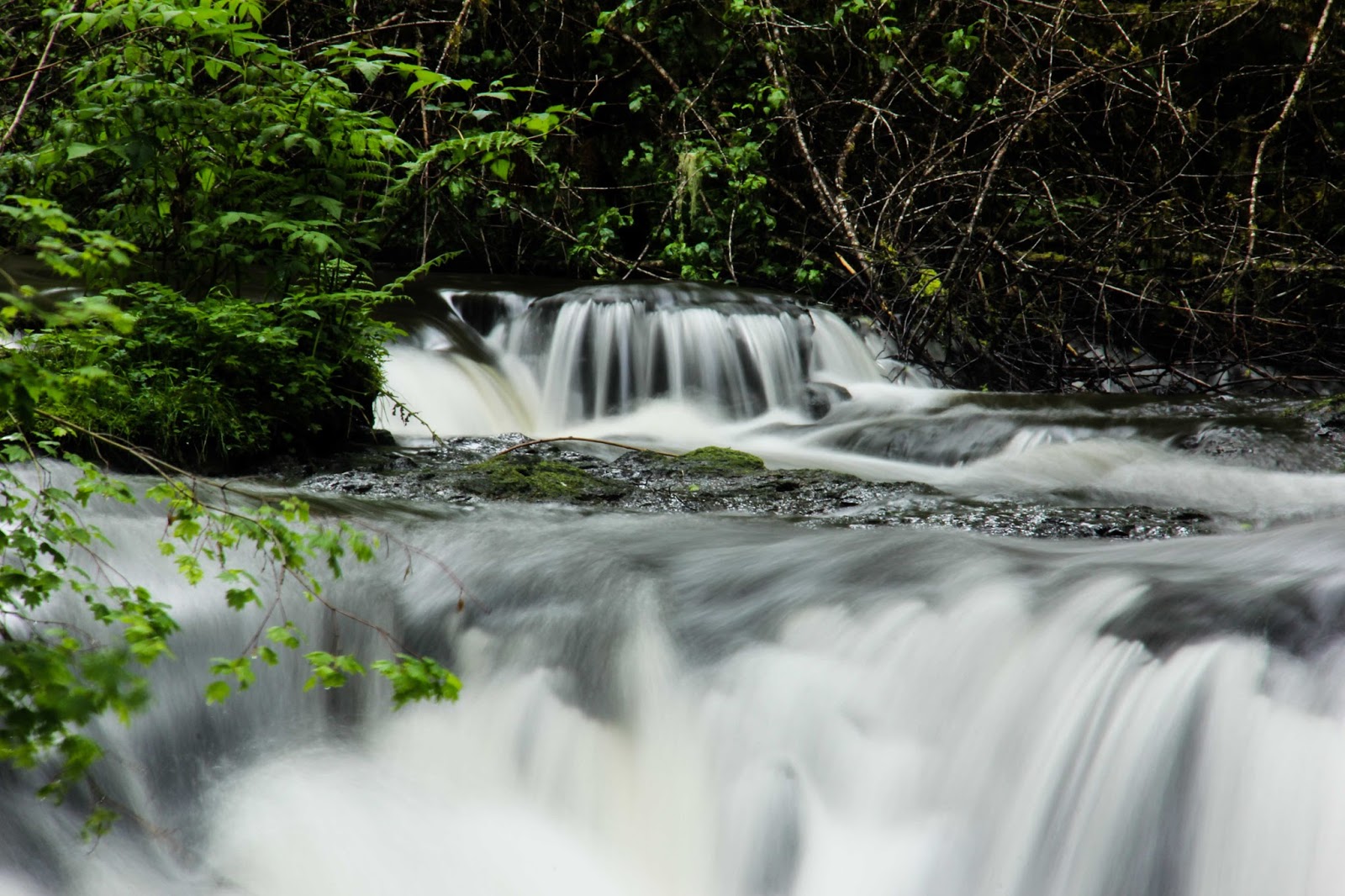 Illuminations from the attic: Barrier Falls