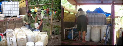 Coconut Sweetener: Organic Coconut Sugar Processing