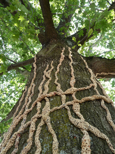 Barbara De Pirro 'biomimicry': 'roots & vines', Bellevue
