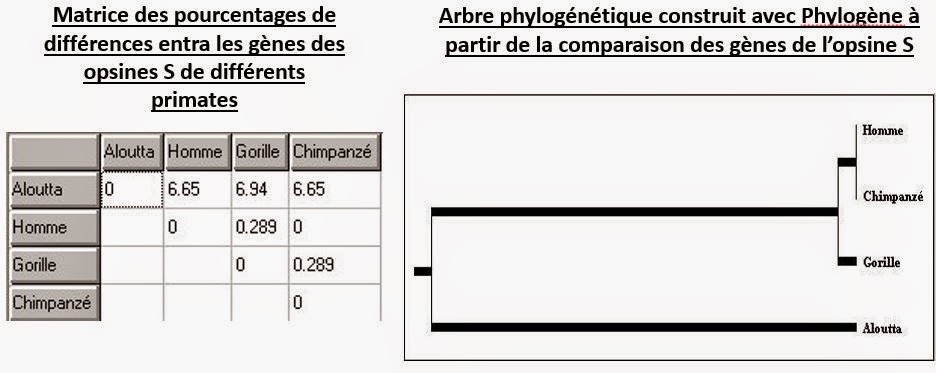 November's Girl and roses - Page 13