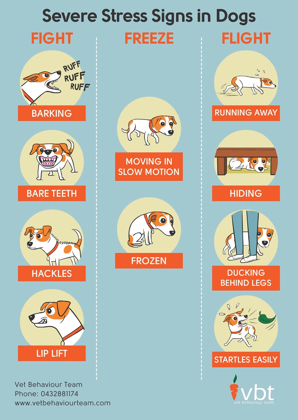 Hybrid Dog Training: Posters about stress