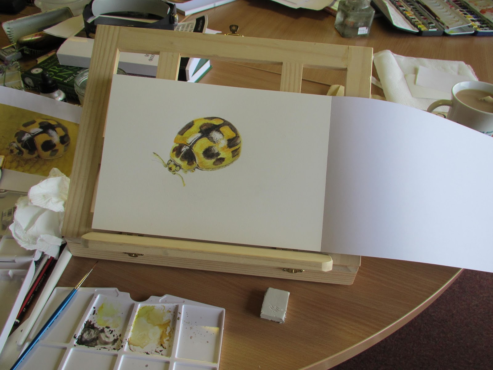 Cath Hodsman - Wildlife and Natural History Artist: A busy and ...