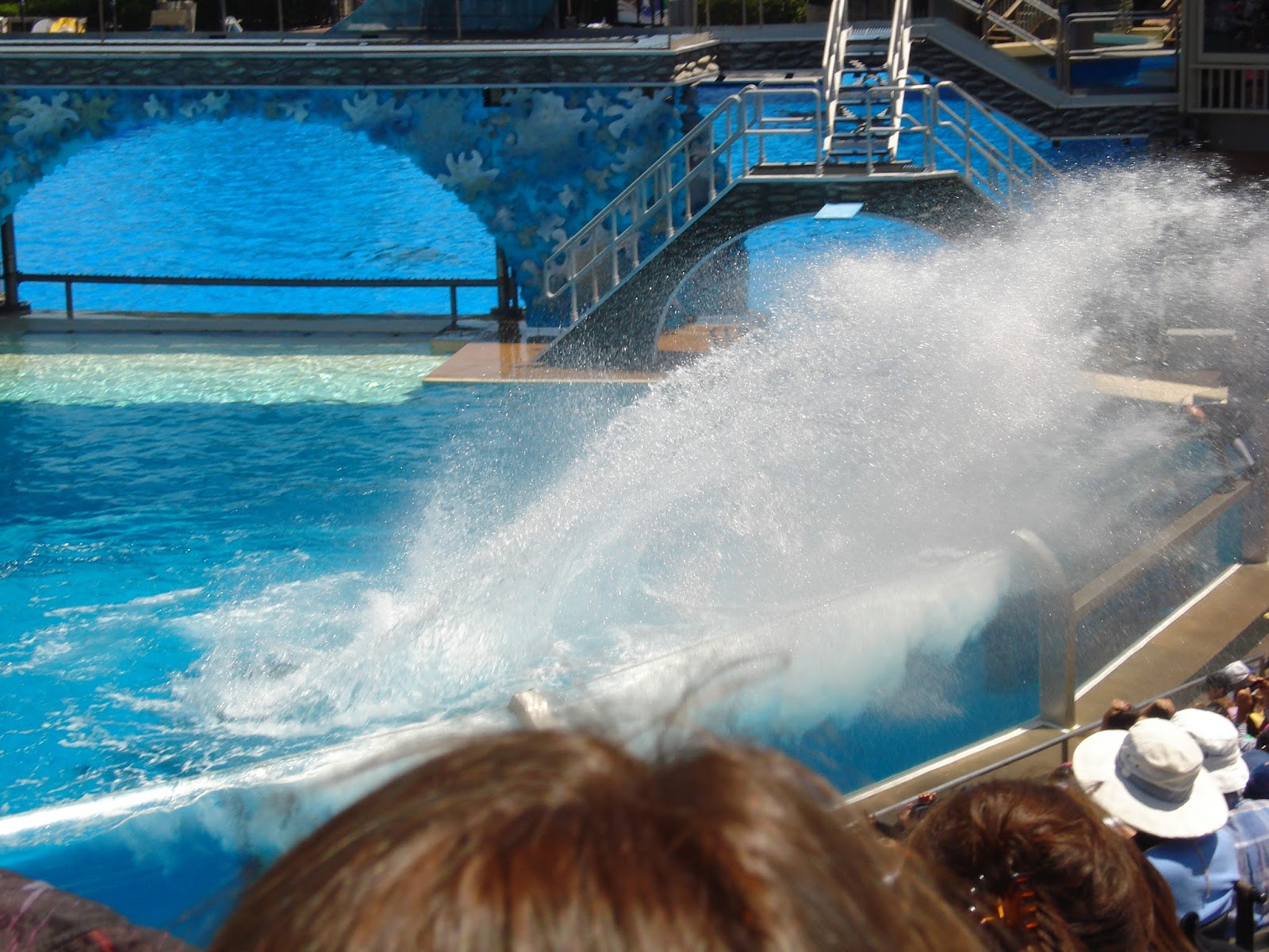 The Nelson Four: Throwback Thursday - SeaWorld and San Diego Zoo part 1