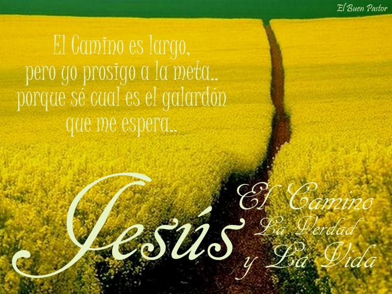 YO SOY EL BUEN PASTOR: JESÚS Es El Camino..