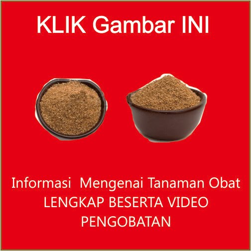 Rempah untuk Kesehatan: Rempah bumbu dari daun, bunga, rimpang