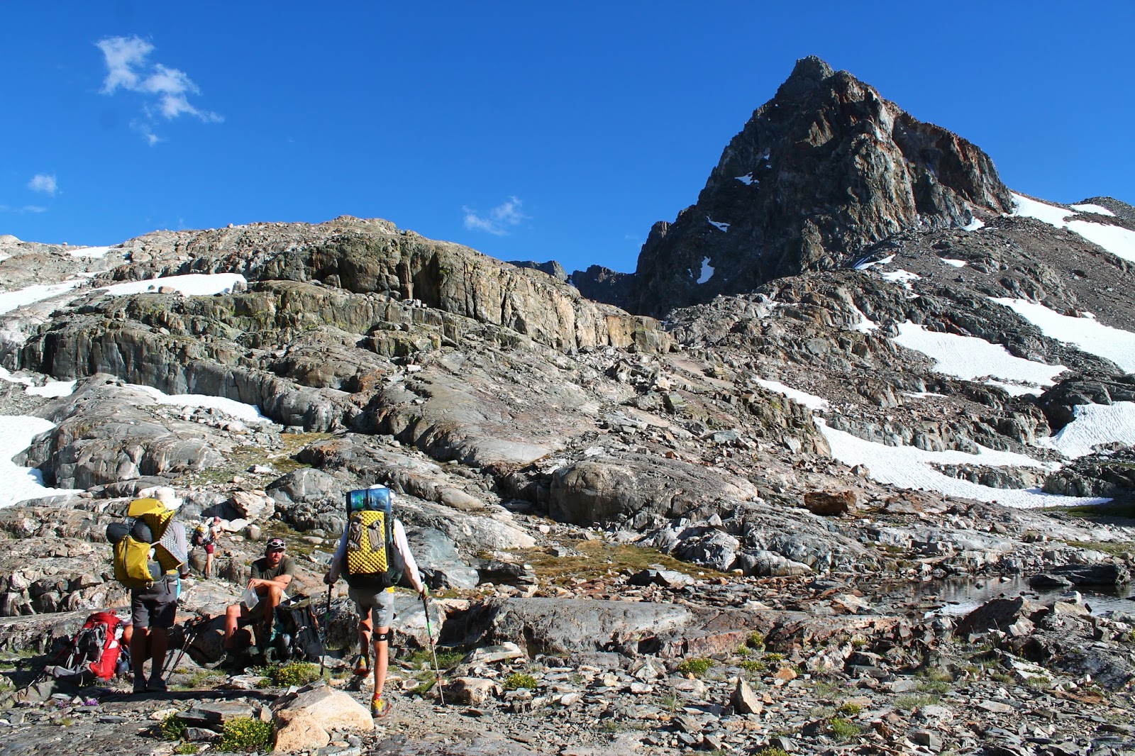 IN THESE WOODS: DAY 63: MUIR PASS