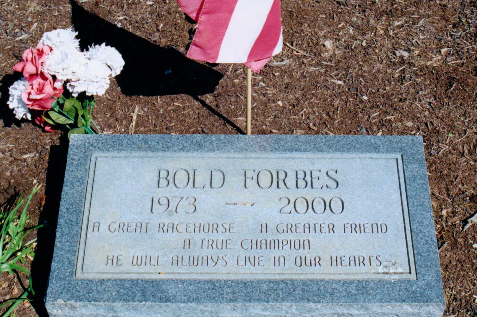 AT THE RAIL WITH NAGS AND WAGS: A SHORT STORY TRIBUTE TO PAST RACING HEROES