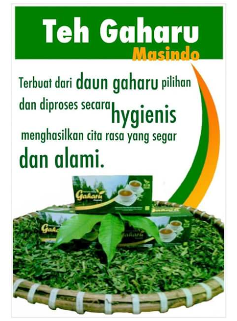 TEH HERBAL DAUN GAHARU