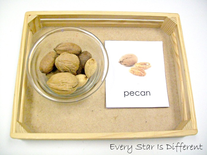 Nutcracker Unit 2 w/ Free Printables - Every Star Is Different