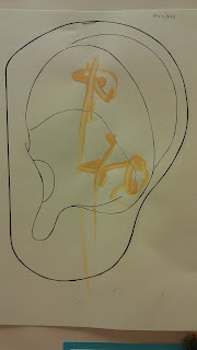 5 Senses with Insects!