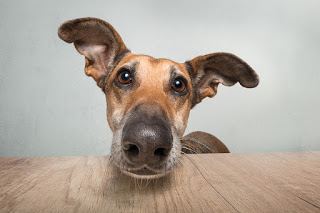 Jen Cairns A Level Photography Component 2 Sensory Experiences ...