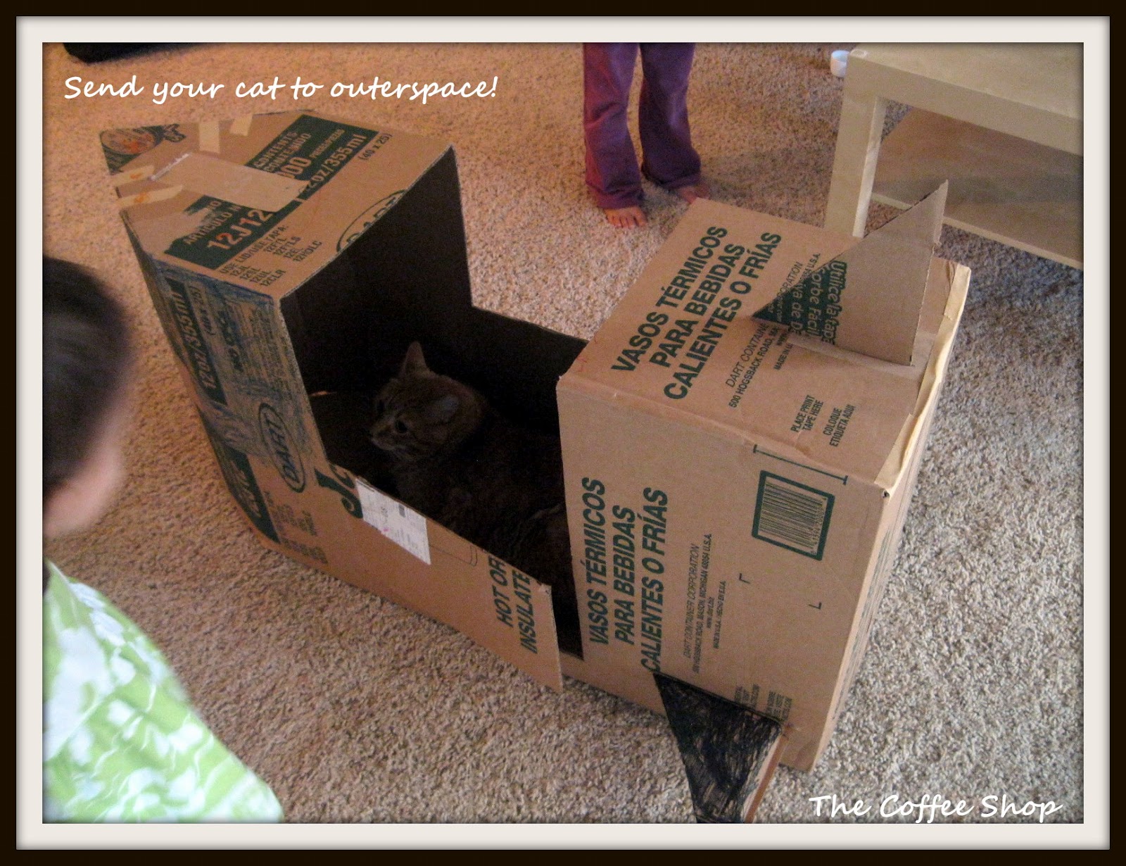 The Coffee Shop: Build your own Caillou Rocketship