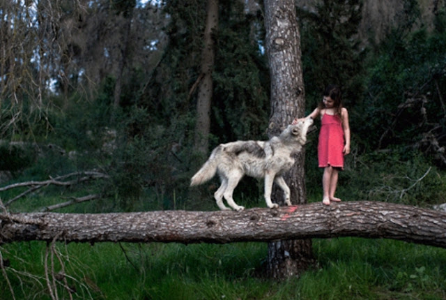 White Wolf : Heartwarming Photos Of Children Playing With Wolves