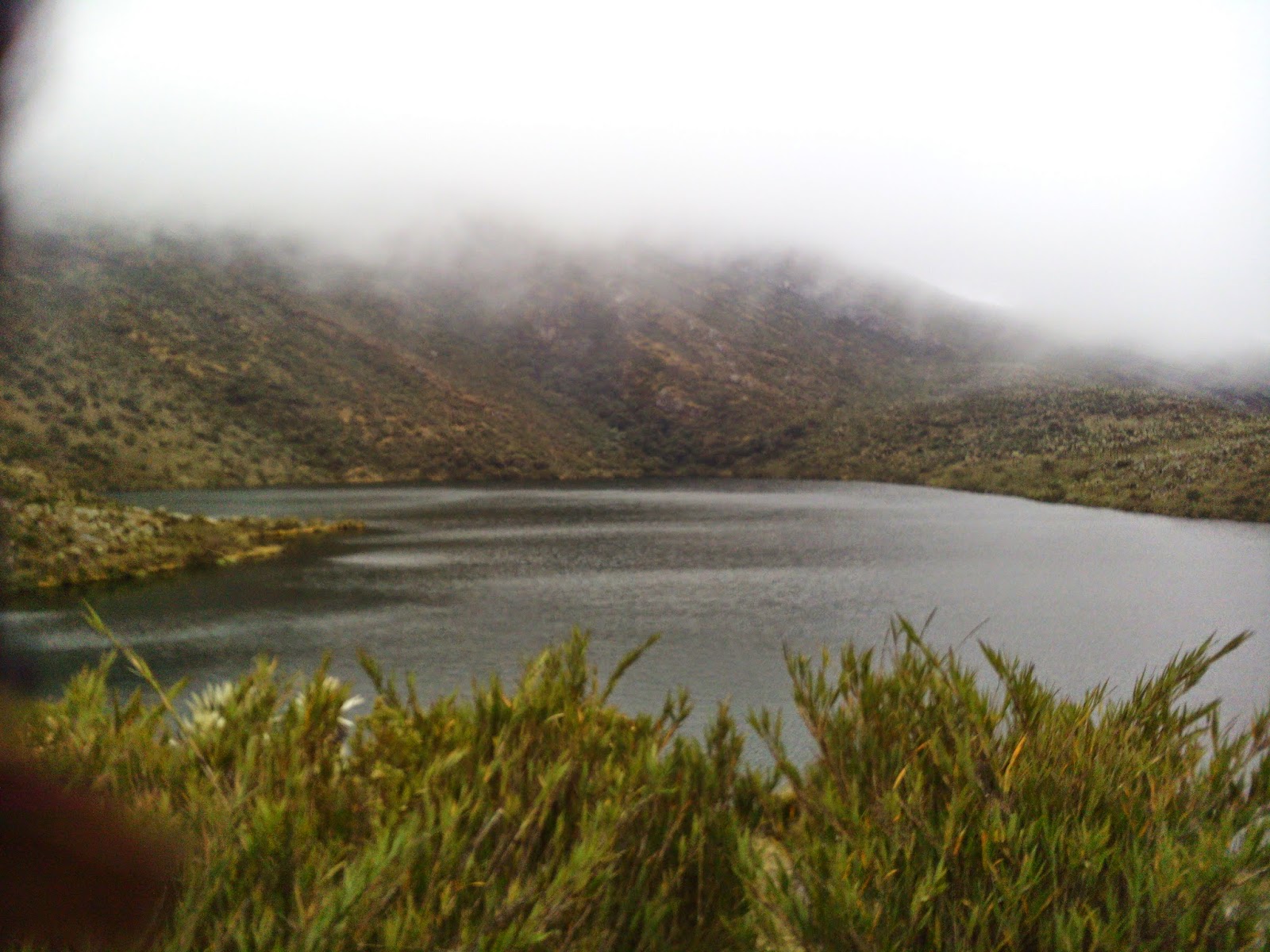 PNN CHINGAZA BELLEZA ECOLOGICA: IMPORTANCIA Y FUNCIONES DEL PNN CHINGAZA