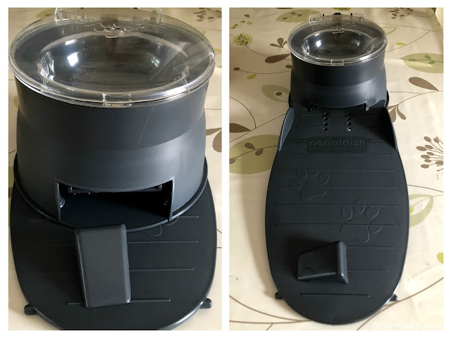 Bionic Basil® home of Basil and The B Team: WHAT'S IN THE BOX? on In ...