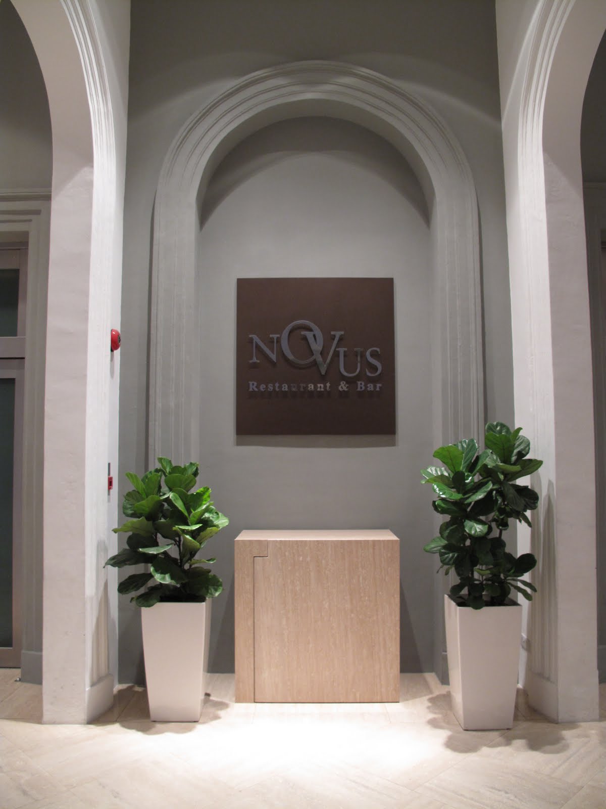 Only Slightly Pretentious Food: Review: Novus