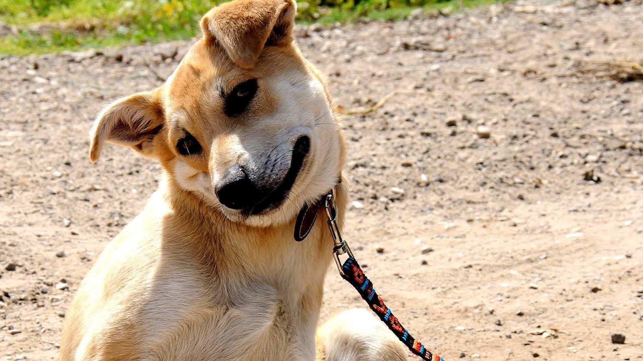 Different Types Of Skin Ulcers - Ulcer Choices