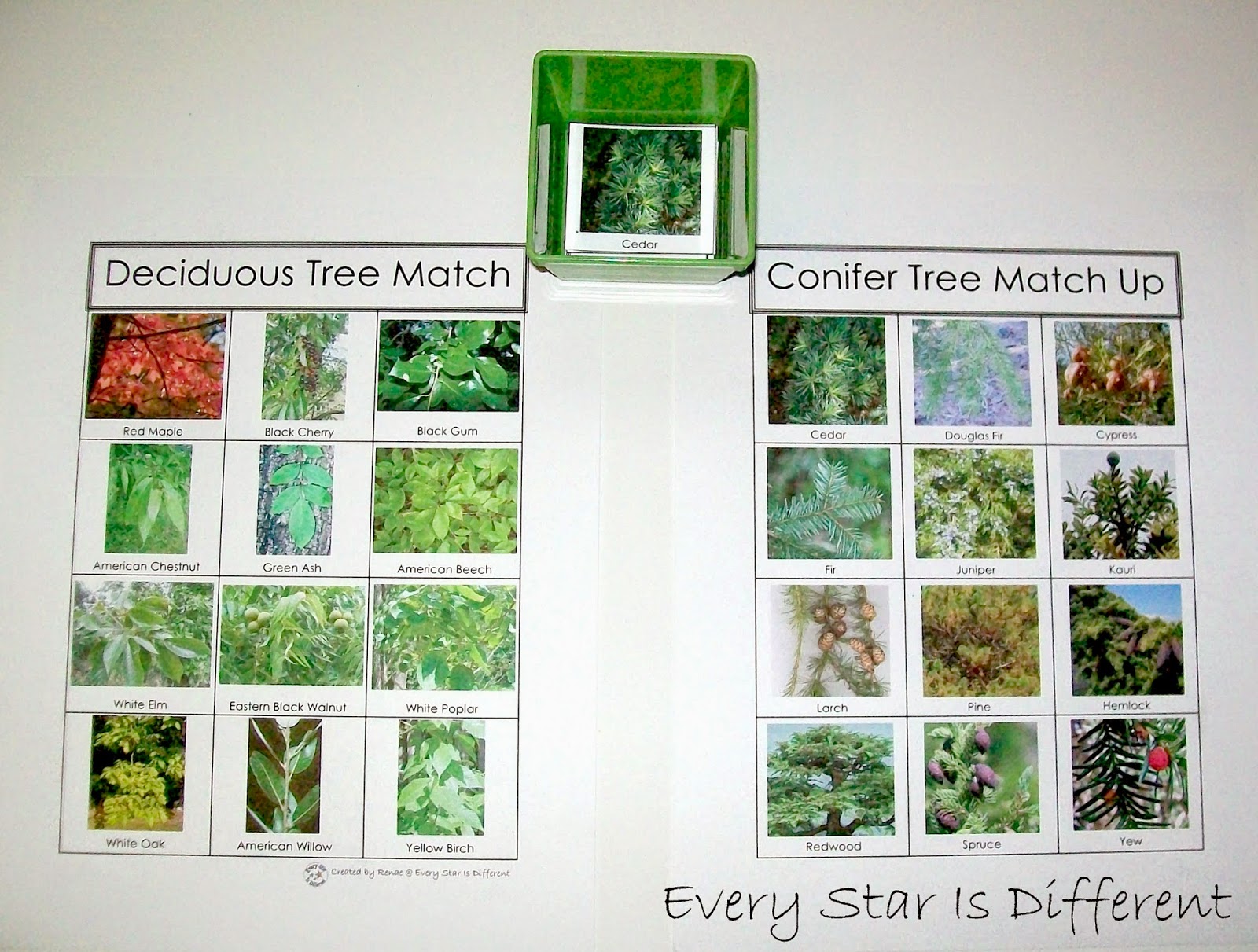 The Giving Tree Family ThanksGIVING Unit with Free Printables - Every ...