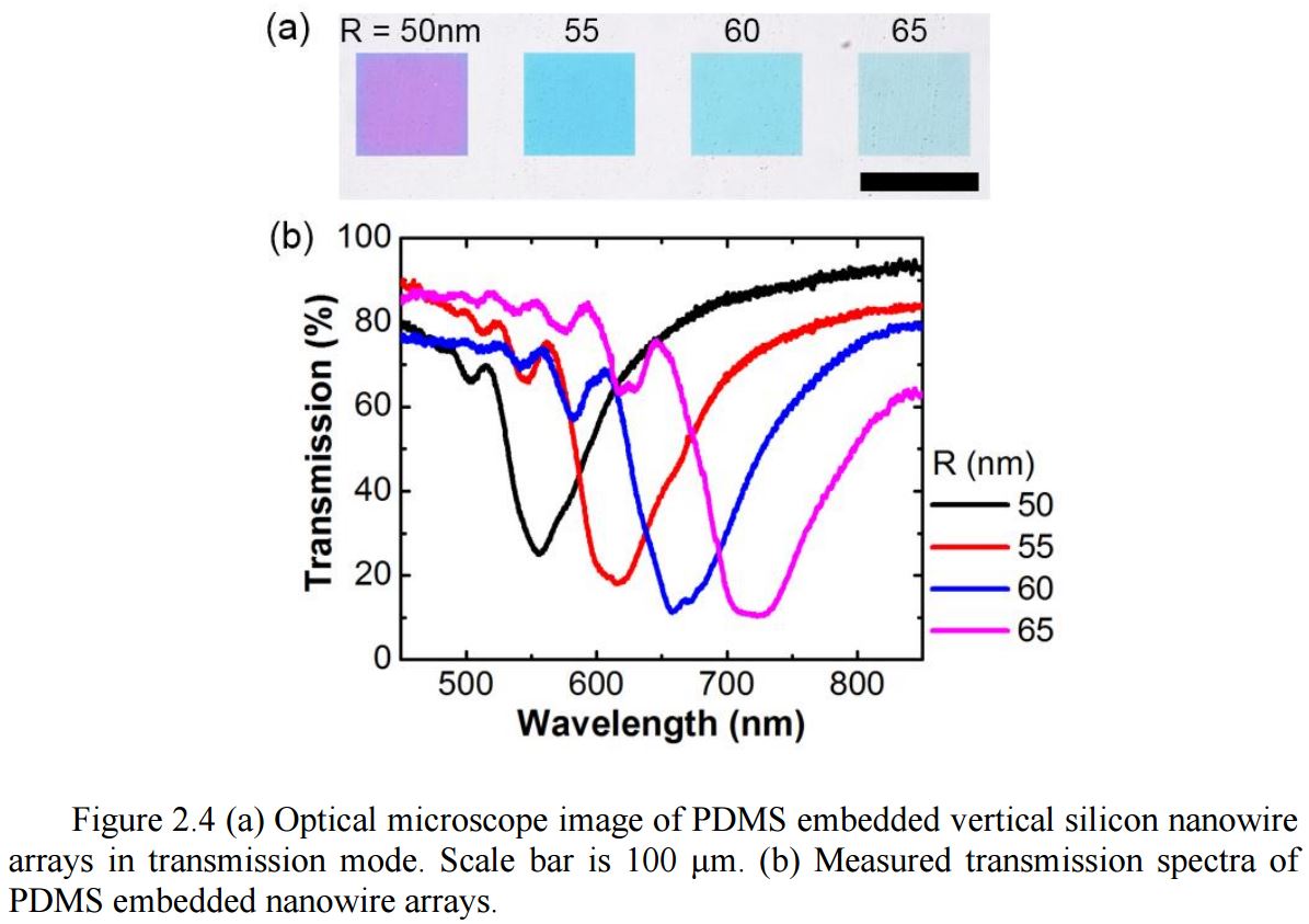 Vertical Silicon Nanowires in Color Filters - Sensors World