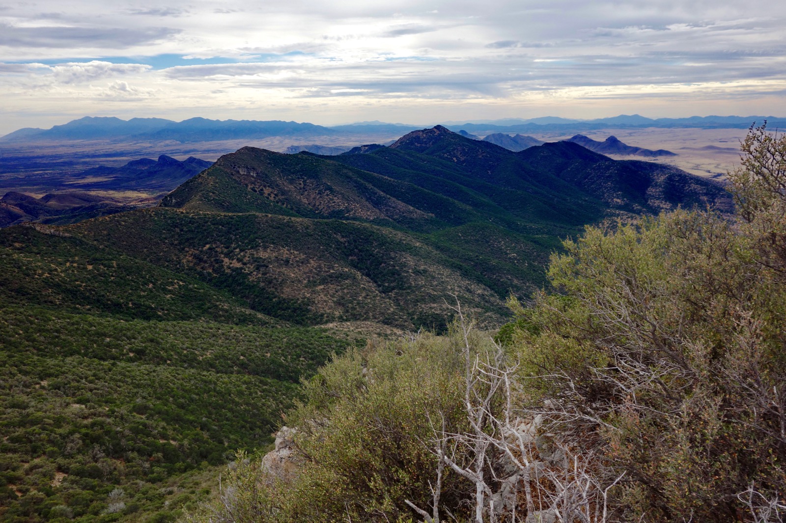 Earthline: The American West: Apache Peak, 7,711'; French Joe Peak ...
