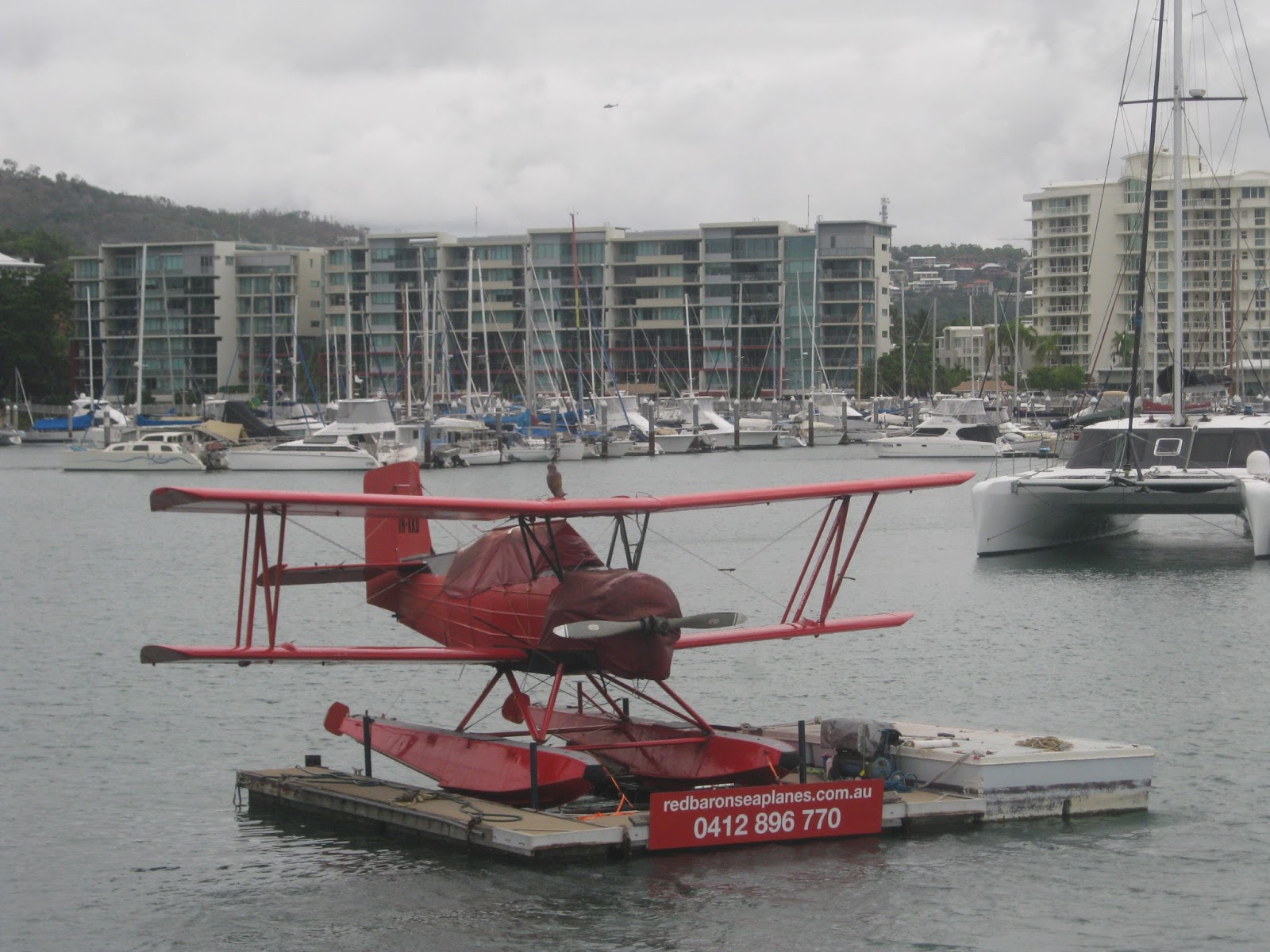 Little Darwin: UFO SPOTTED OFF TOWNSVILLE / SMACKS GALORE/ SEASIDE EYE ...