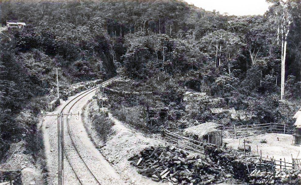 transpress nz: railway life in the Congo