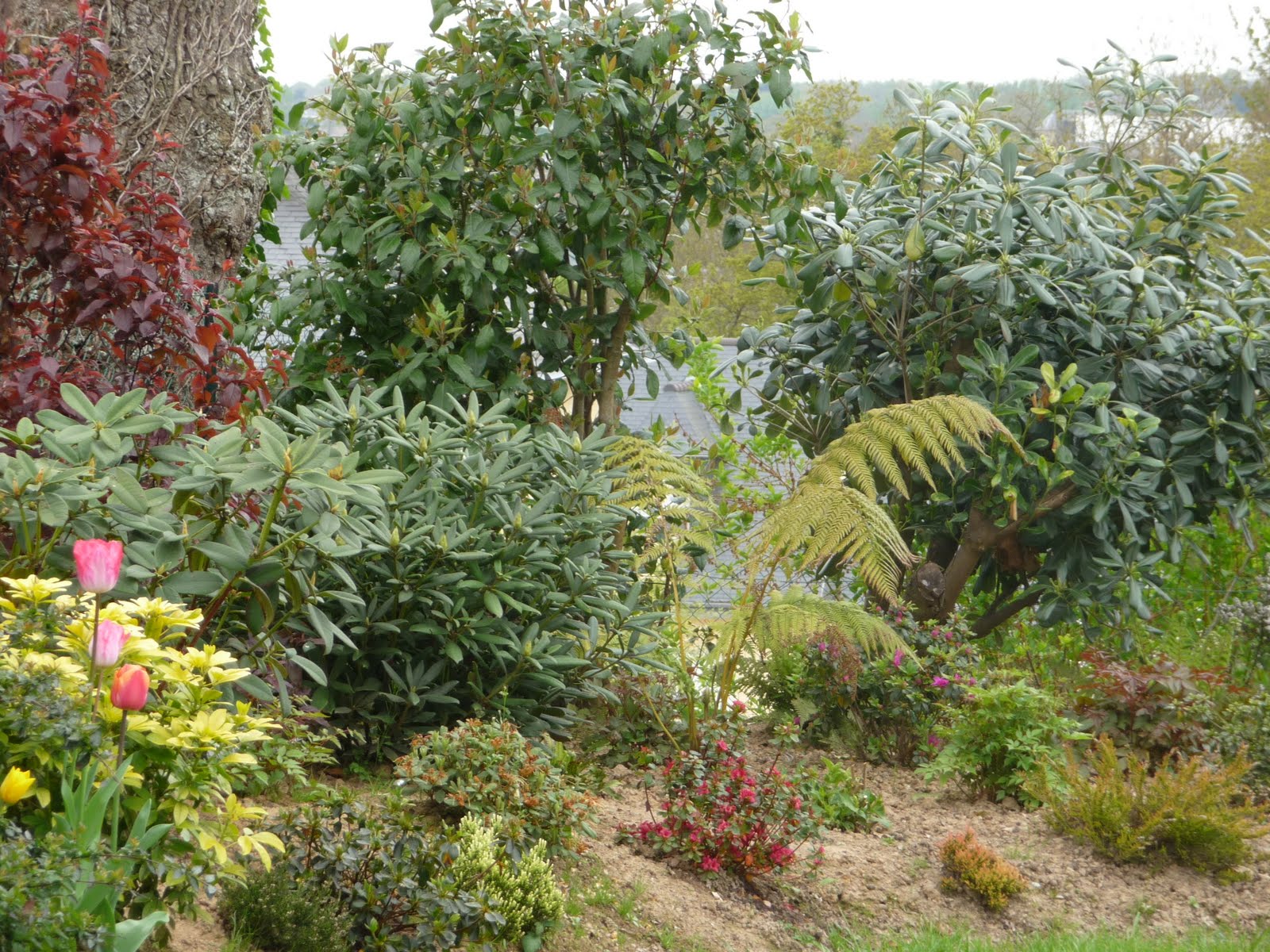 Ma Terre de Bruyère: Visite guidée ...