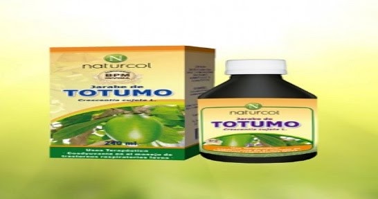 Utilidad del fruto del totumo