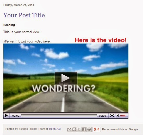 Bizideo.tv's Blog: 4 Ways to Put Video on Your Site or Blog
