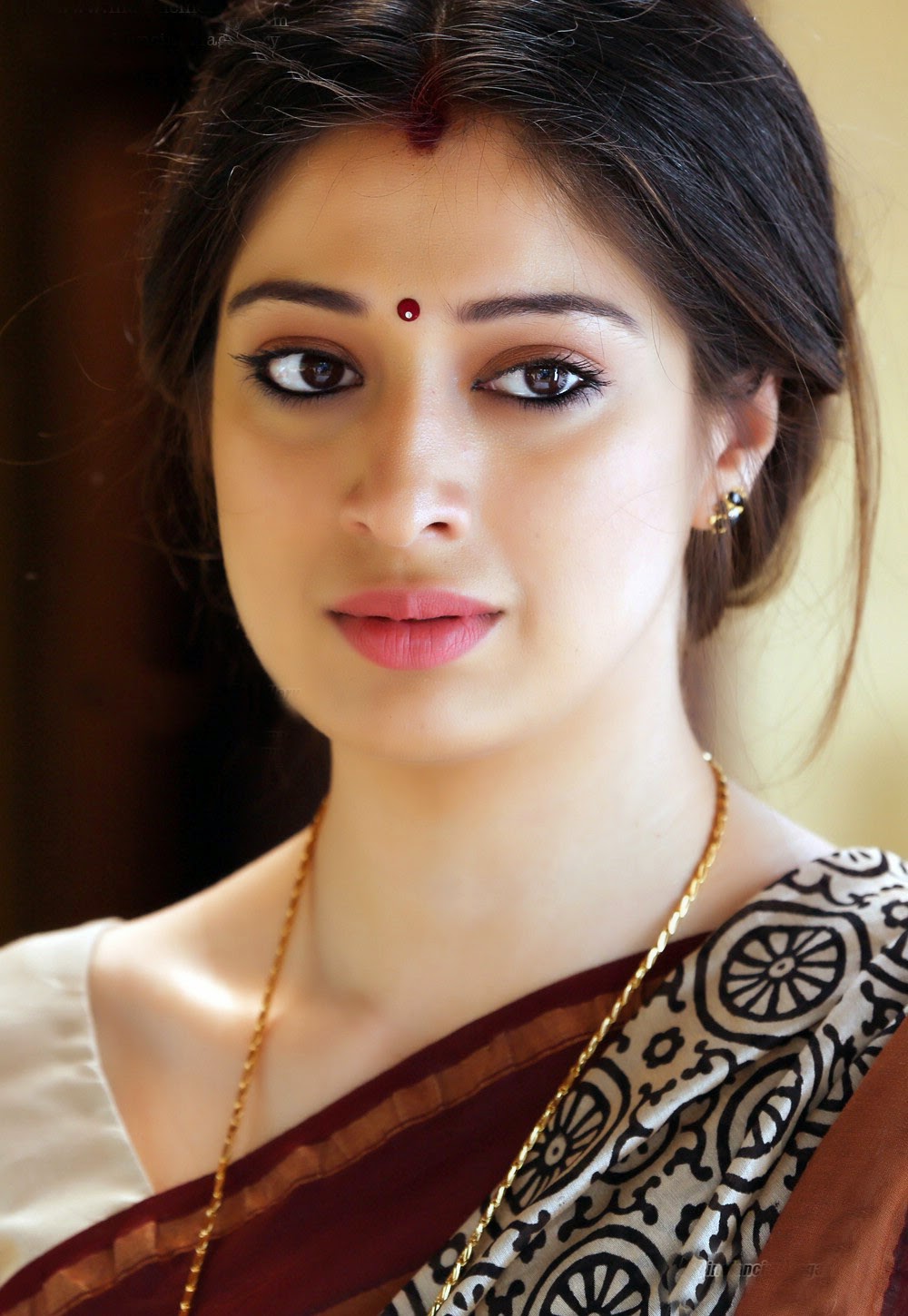 Raai Laxmi Age,Height,Date of Birth,Wiki,Husband,Affairs