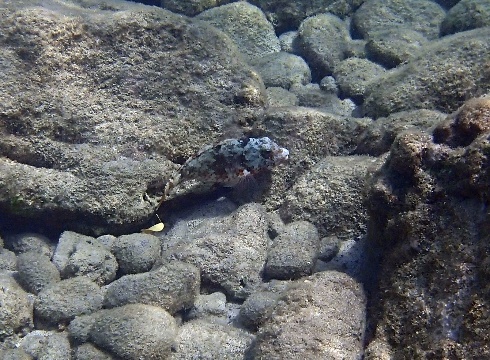 impressions: Guadeloupe , le retour