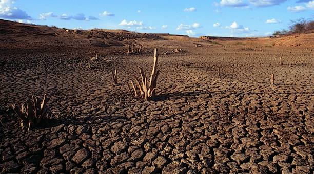 Tudo Sobre Caatinga: Solo