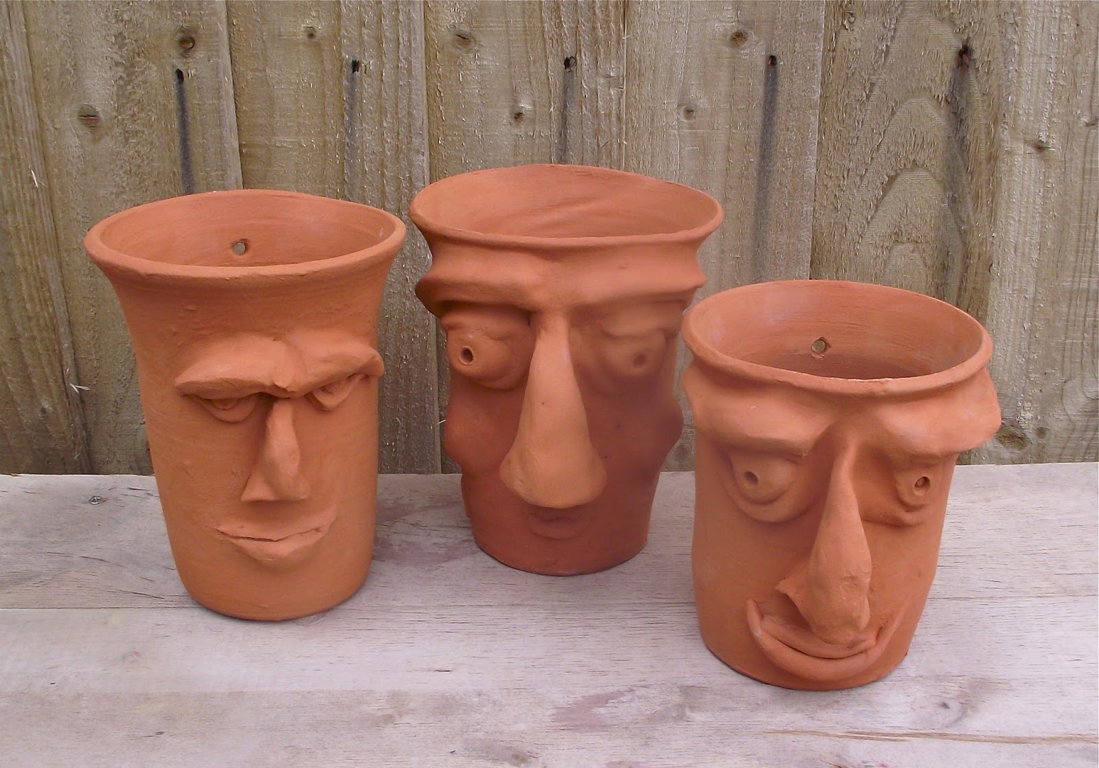 The Buckley Pottery: Garden