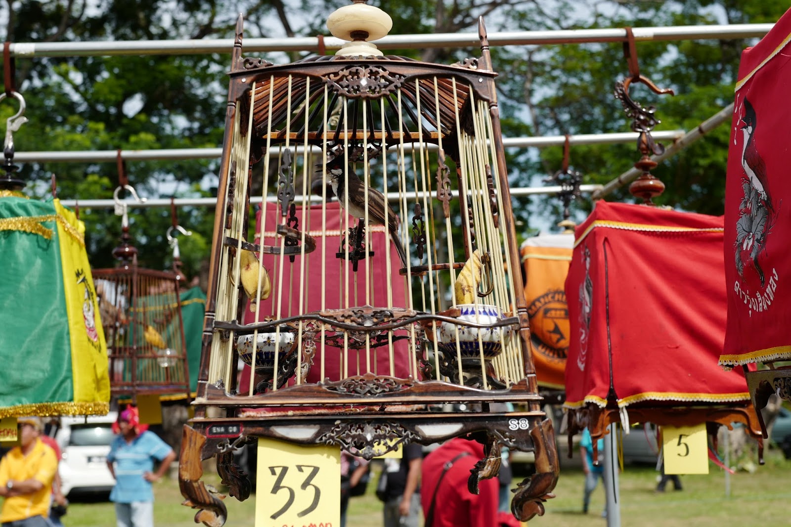 JE TunNel: The Original Tweeters, BURUNG CANDIK @ Jalan Sri Cemerlang ...