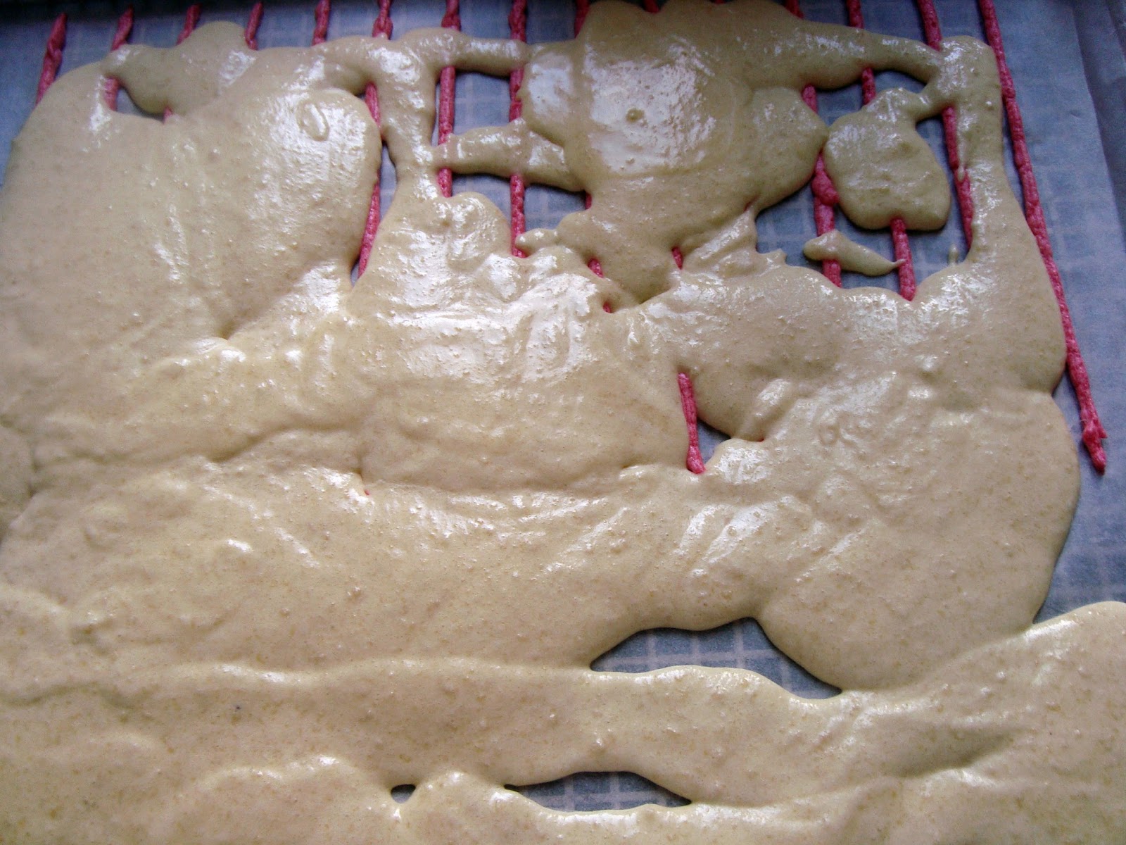 craft marmalade: Trionfo di lamponi - Biscuit joconde imprimè, triple ...