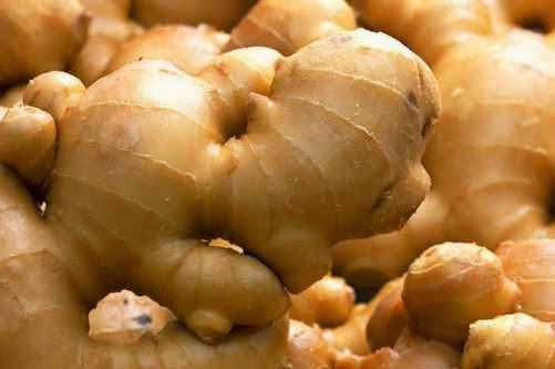 KHASIAT HALIA ~ Koleksi Petua Dulu & Sekarang