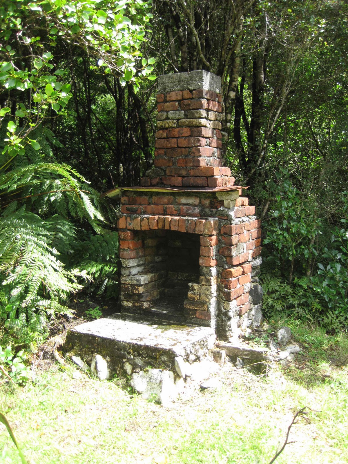 Carolyn in Aotearoa: Milford Track, Day Four: Dumpling Hut to Sandfly ...