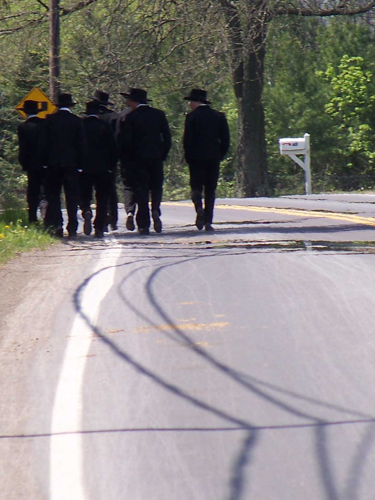 Landscape, Nature and Wildlife Photography done by Angie K. Johnson ...