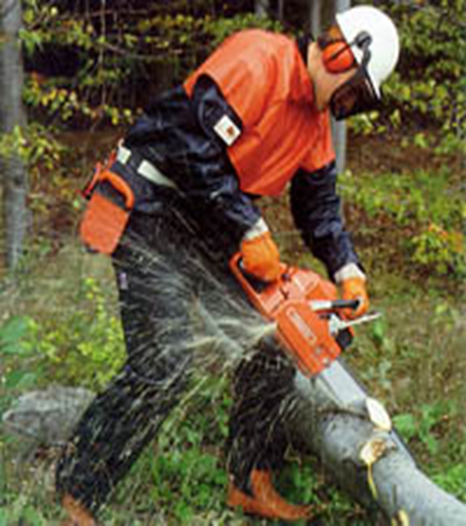 OSHA Compliance Manual: While Working | chain saw
