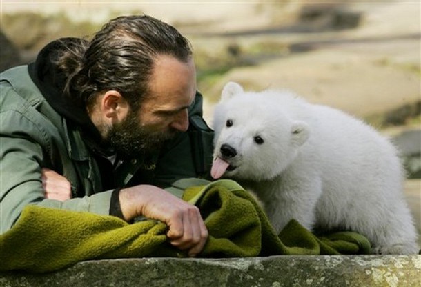 Knut l'ourson superstar: Knut et son tuteur Thomas Dörflein.