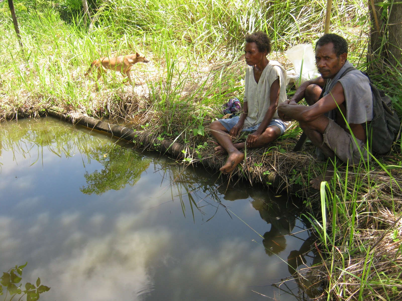 The Anuki Country Press: The Kaiwatara mines