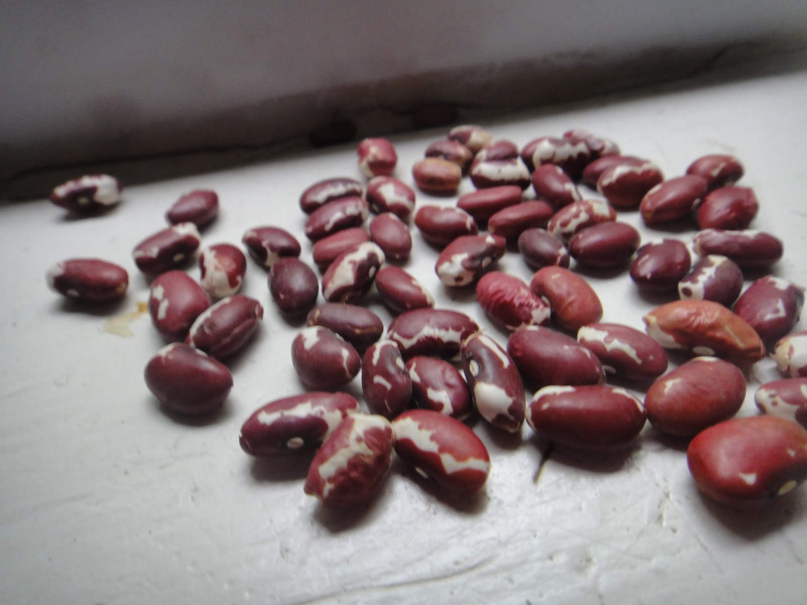 LOVING THE ANASAZI BEANS.