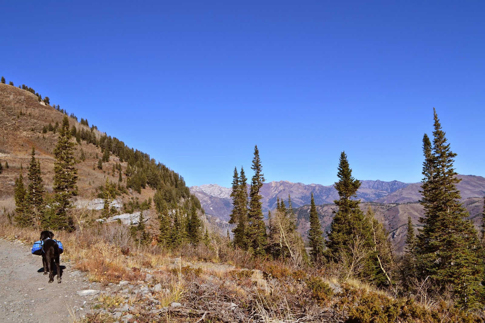 Katie Wanders : Mount Timpanogos, Utah - Hiking to the summit on the ...