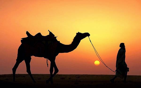 kisah islami inspiratif: Kisah Kaki Unta yang Hampir Patah Saat ...